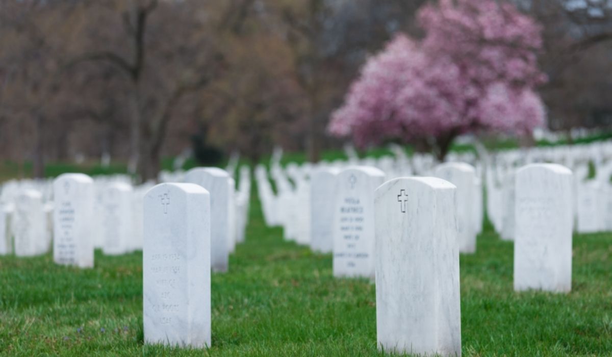 Necrofobia: medo de coisas mortas - Psicólogos On-line | Inpa